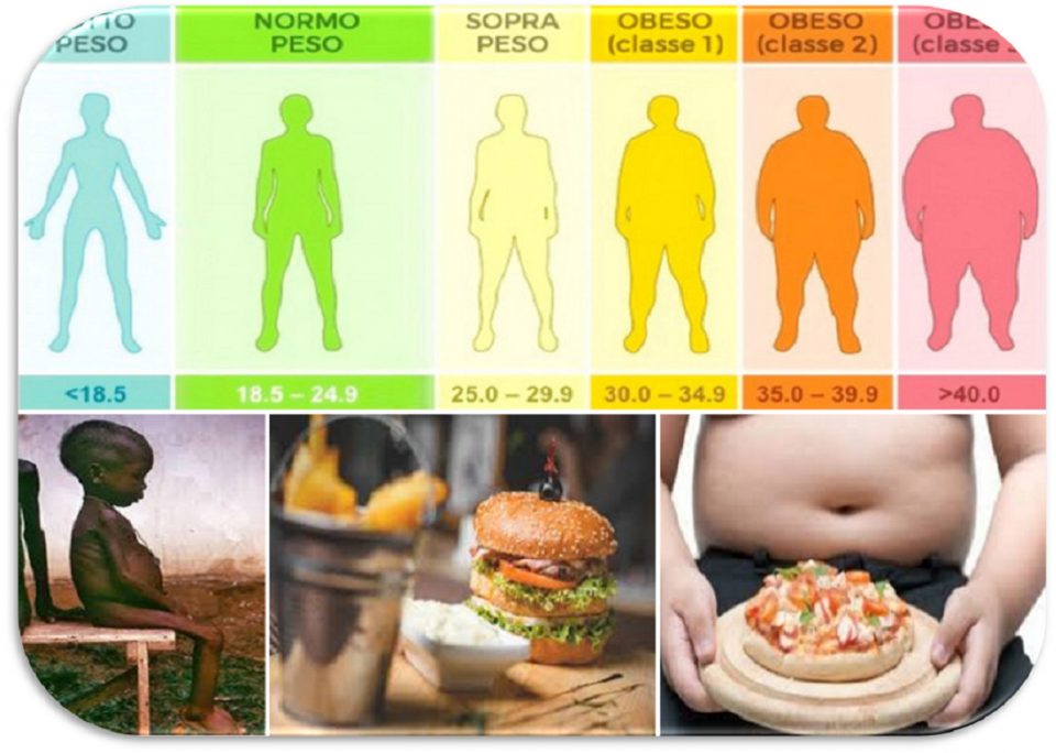 LA MALNUTRIZIONE PER ECCESSO E PER DIFETTO | GermoglioVerde