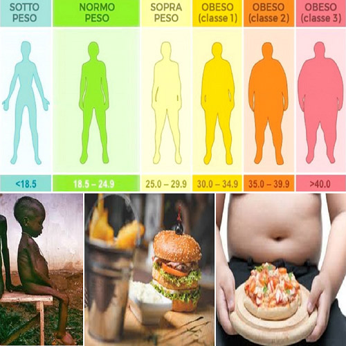 LA MALNUTRIZIONE PER ECCESSO E PER DIFETTO | GermoglioVerde
